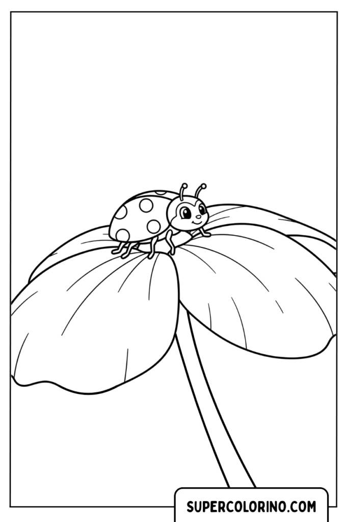 14 Coccinella da Colorare Download Gratuito